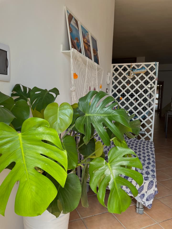 Casa Vacanze La Rosa Di Naxos - Naxos