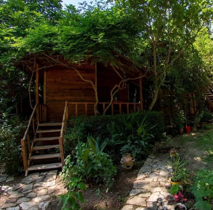 Ormanda Bungalov + Kahvaltı - Kumluca