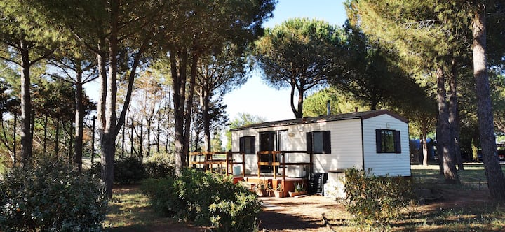 Hors Camping 15 Minutes Des Plages - Agde