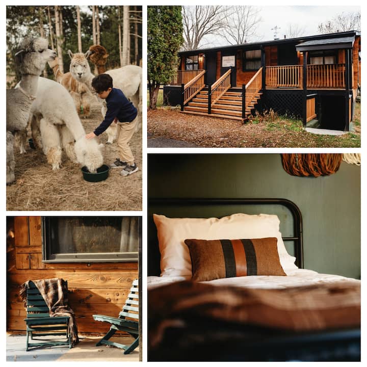 12ppl | All-inclusive Retreat Style Cabin Stay - Wisconsin Dells, WI