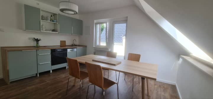 Wohnung Am Aquazoo In Rheinnähe Und Messe - Düsseldorf