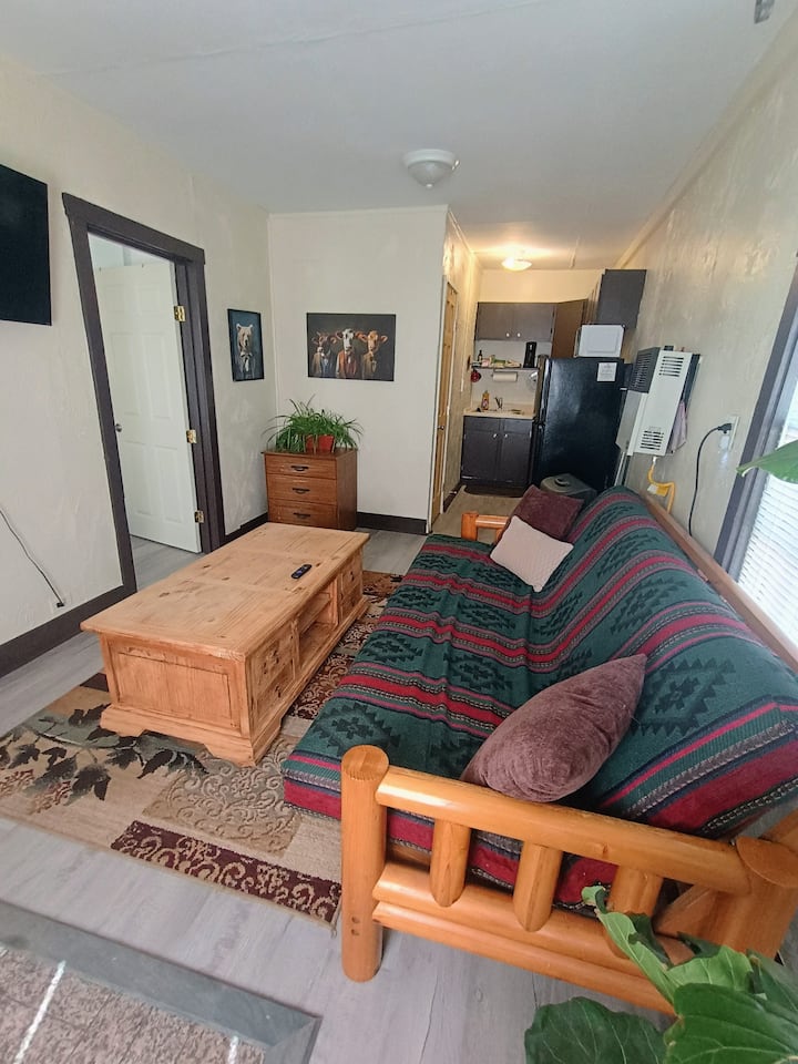 Old Hunting Cabin Apartment On High St - Vega State Park, Collbran