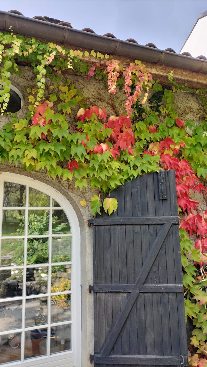 Maison Arty En Pierres - Douvaine