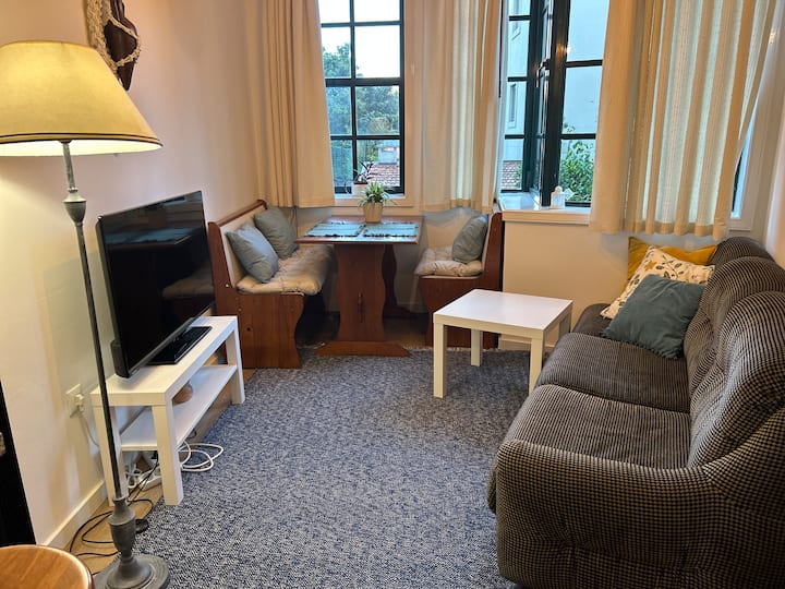 Alecrim Cosy And With Plenty Of Natural Light - Porto