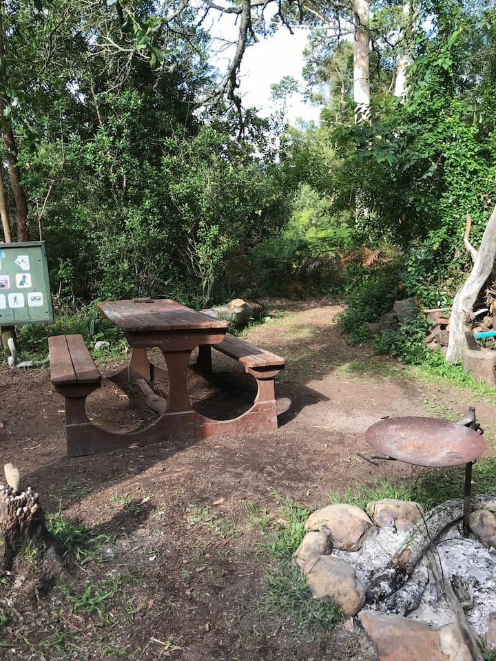 Mysdal Bushcamp - Harkerville