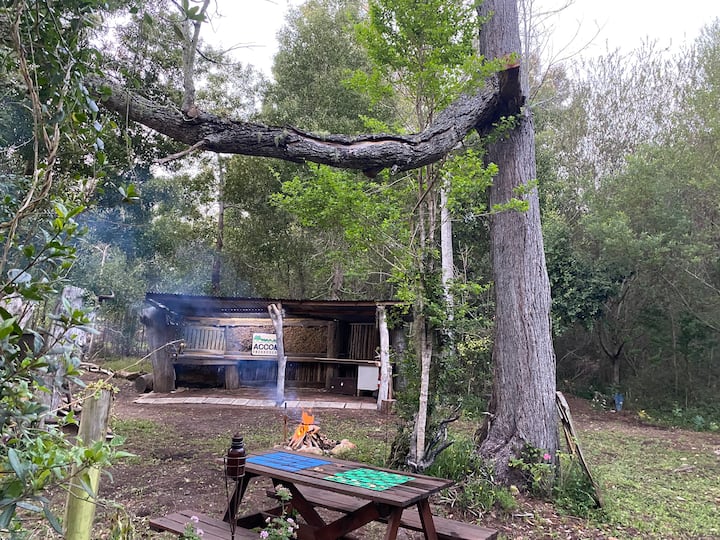 Mysdal Bushcamp - Plettenberg Bay