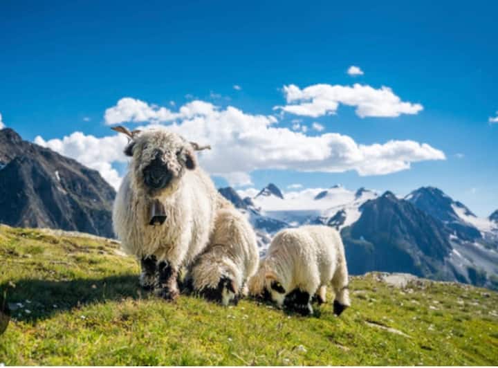 Ski & Relax: Winterparadies – 24h Self-check-in - Belalp