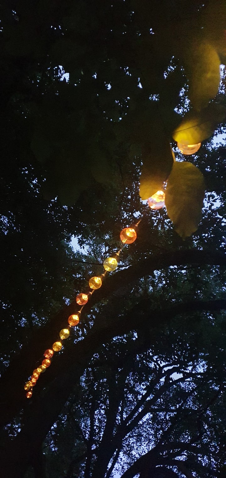 Caravane Intimiste à L’orée Du Bois - Dordogne