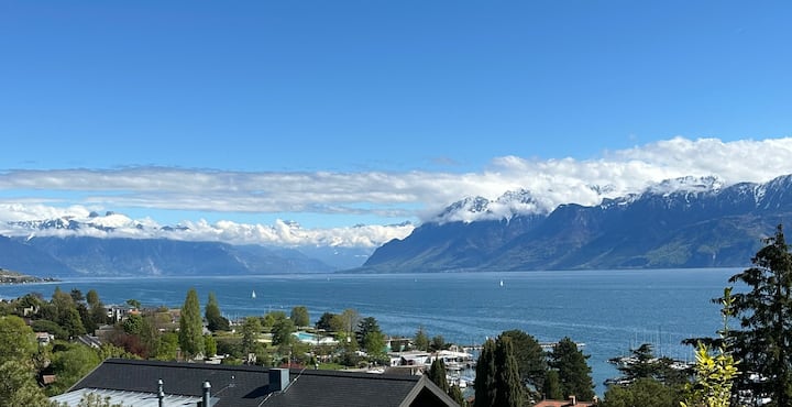 Emplacement Exceptionnel, Desservi Bus Lausannois - Lausanne