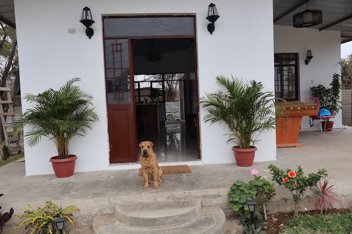 “Casa Pomac: Desconecta, Respira, Renace.” - Túcume