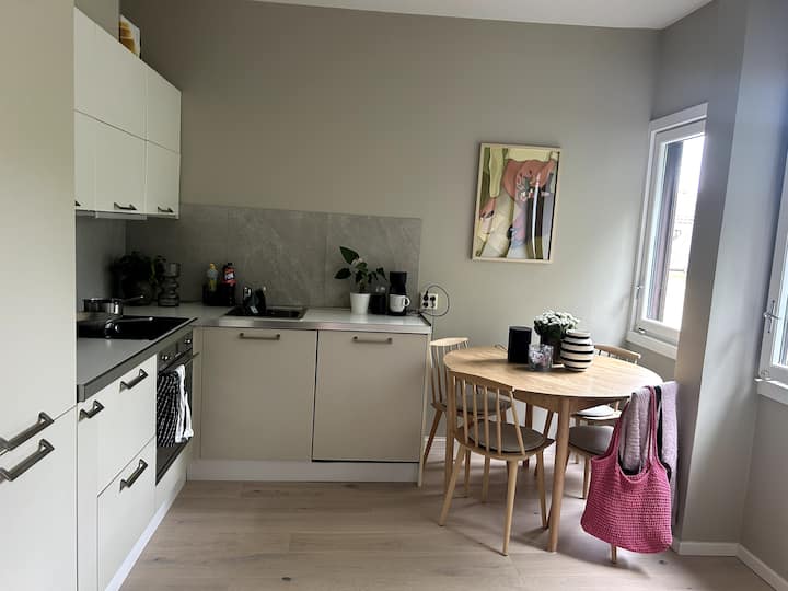 Leilighet I Oslo - Oslo