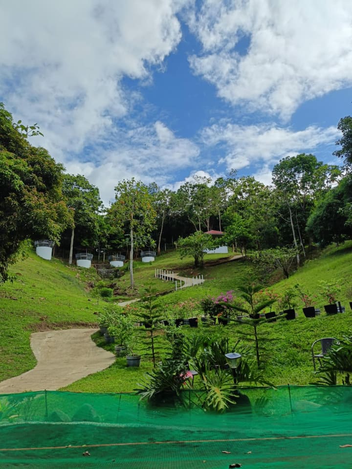 Heal With Nature - Antipolo