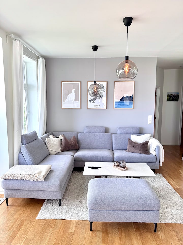 Stor 3-roms Leilighet Med Utsikt - Trondheim