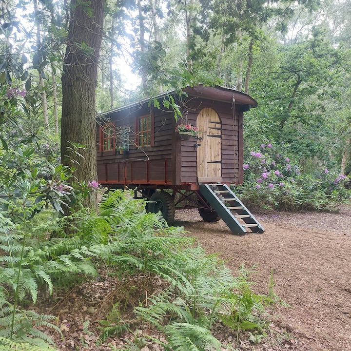 The Secret Sheppards Hut Ideal For Bird Watchers - Norfolk