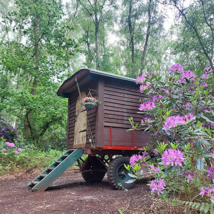 The Secret Sheppards Hut - Snettisham