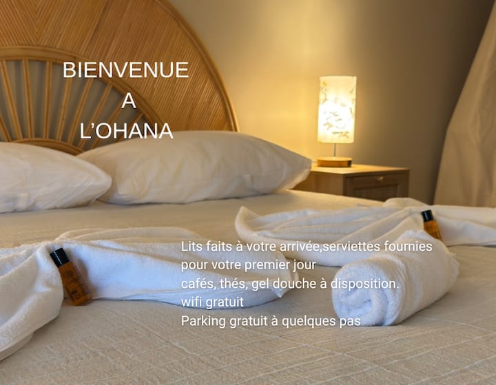 Ohana Appartement De Charme - Château-Gontier