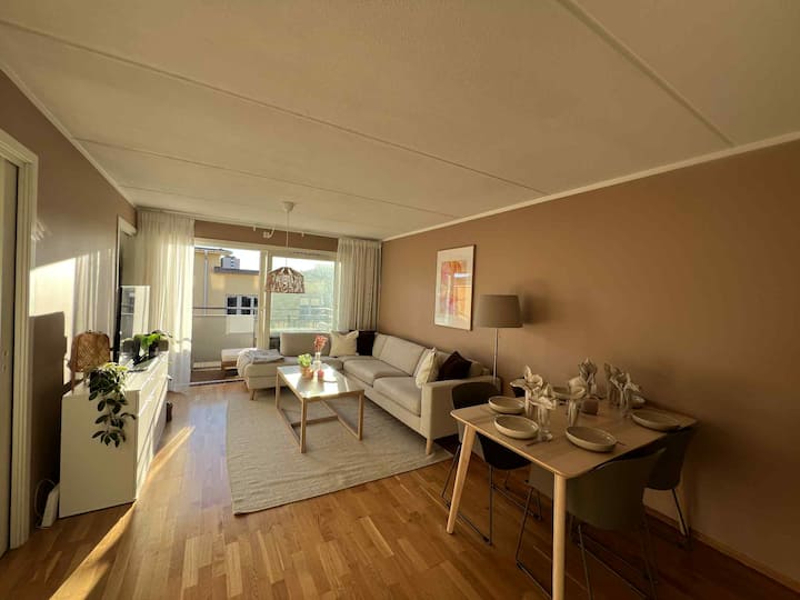 4-roms Leilighet Nær Storo - Oslo