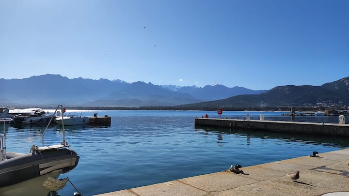 Charme Et Détente à Calvi. T2 - Calvi