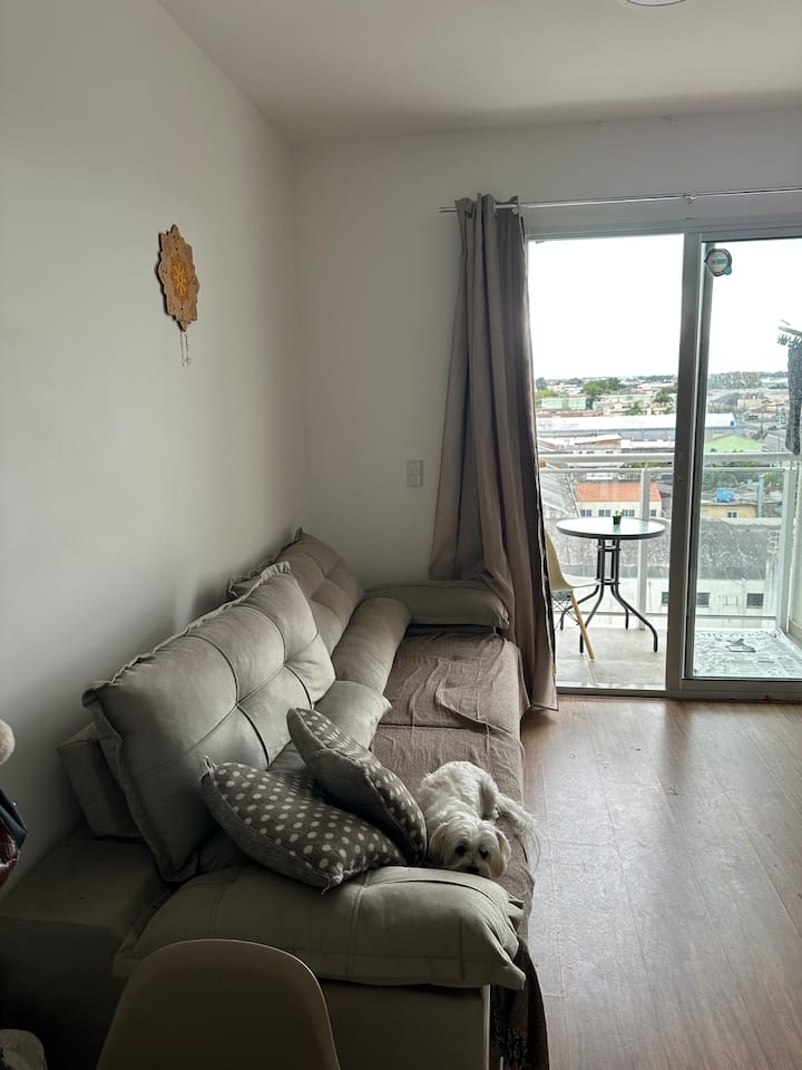 Espaço Aconchegante Com Bela Vista E Garagem - Pelotas