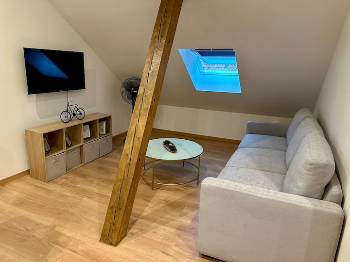 Appartement 2 Pièces Lumineux, Fraîchement Rénové - Mulhouse