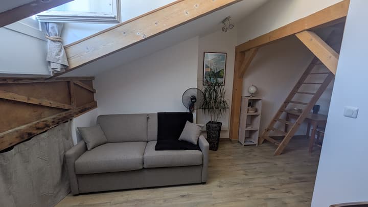 Joli Studio 1/2 Pers. - Lyon
