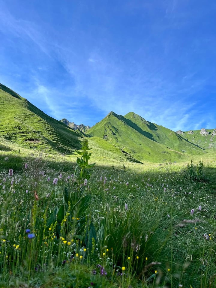 Appartement Cosy Centre La Bourboule 2 Pers - Murat-le-Quaire