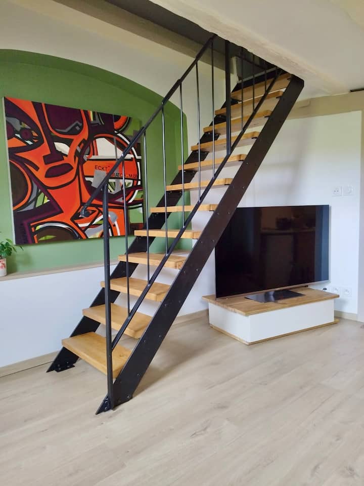 "Les Corbelles", Duplex De Charme En Hyper Centre - Strasbourg