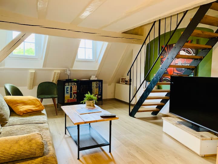 "Les Corbelles", Duplex De Charme En Hyper Centre - Strasbourg