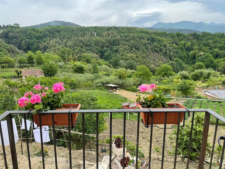 Appartamento In Masseria - Isernia