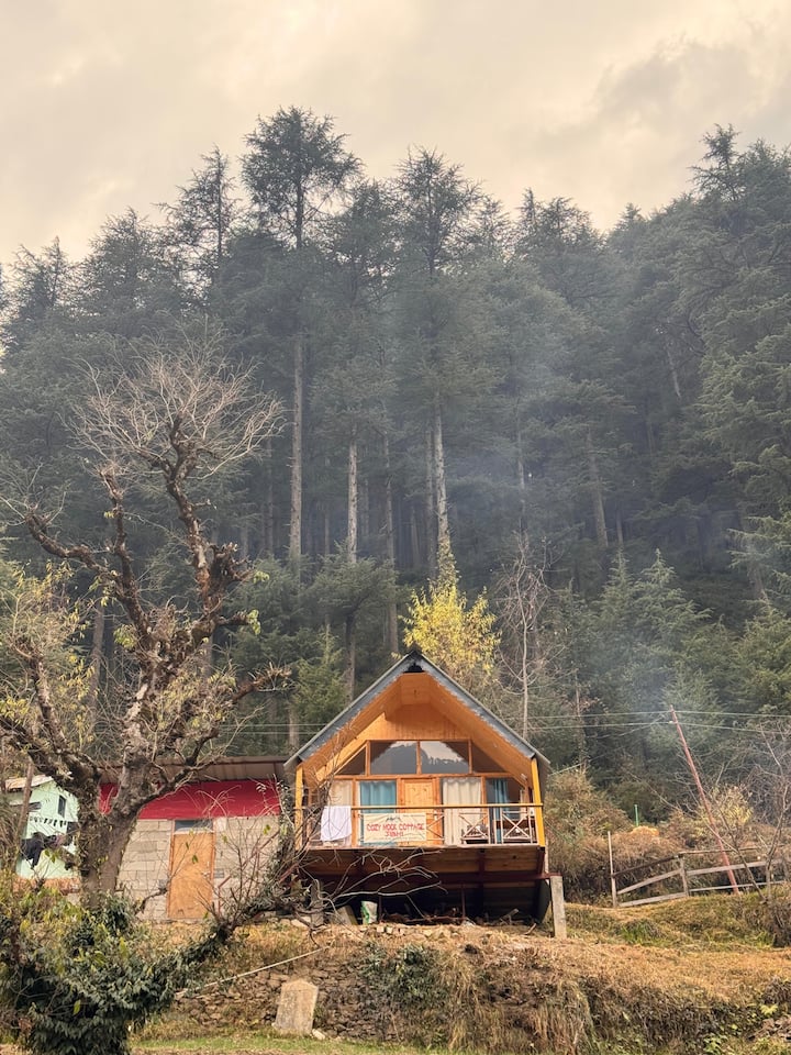 Cozy Nook Cottage, Jibhi - Jibhi