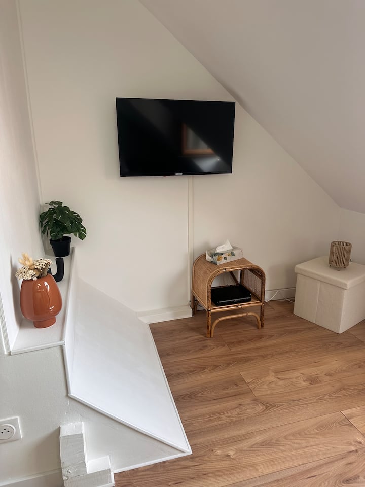 Duplex éLégant Au Cœur D’annecy - Annecy