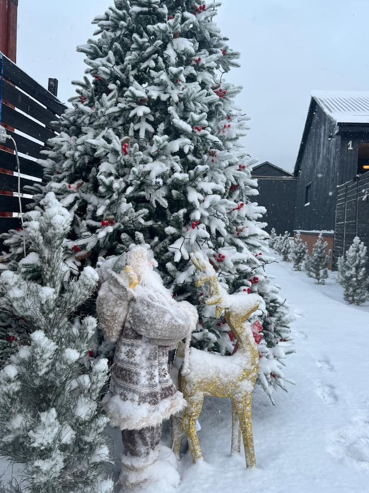 Shahdag Berghouse - Azerbaijan