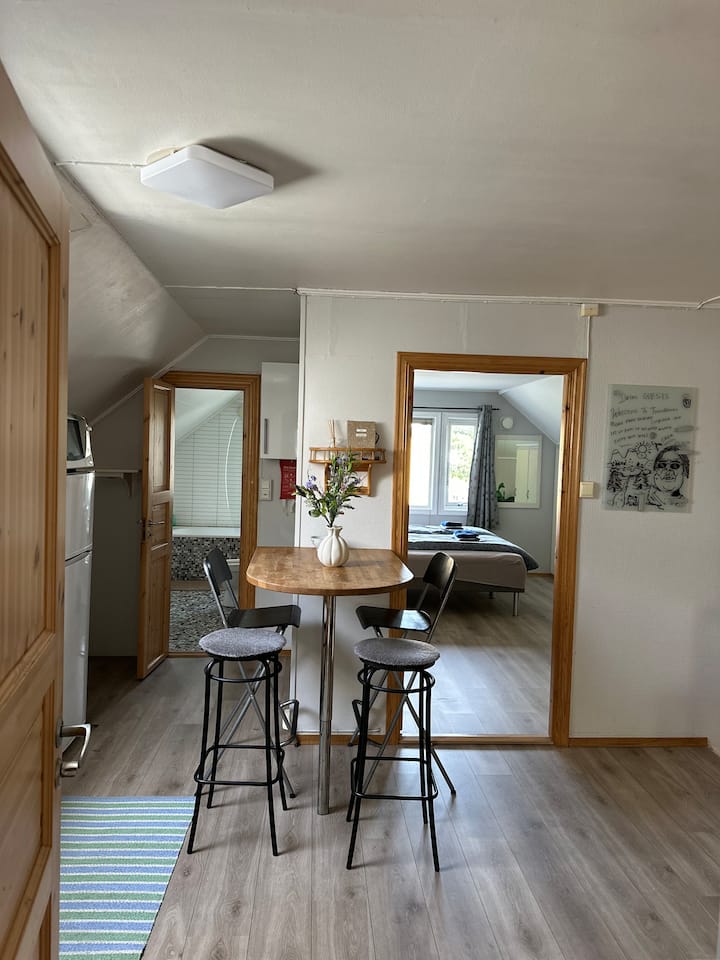 Attic Apartment With 3 Bedrooms - Trondheim
