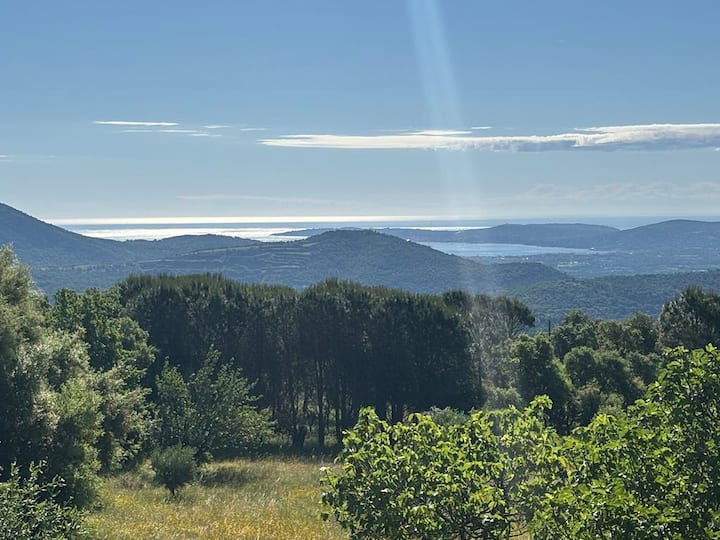 Havre De Paix Avec Une Vue Mer - La Garde-Freinet