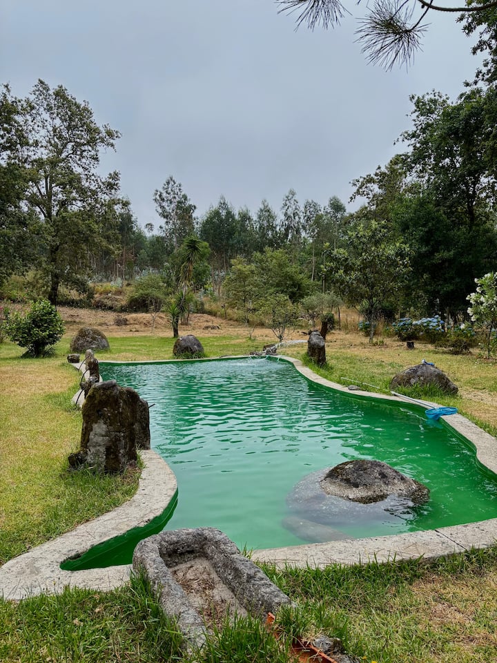 Casa Do Arte - Retraite Tranquille Avec Piscine - Guimarães