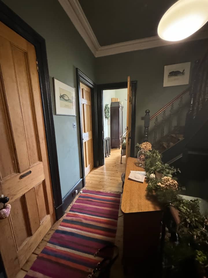 Bright Single Room. Bbc*ovo*sec* - Glasgow