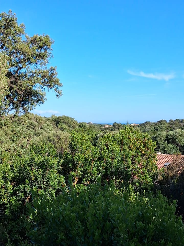 Maison Sainte Lucie De Porto-vecchio - 2 Chambres - Plage de Pinarellu