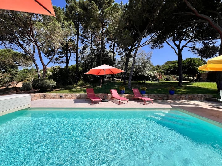 Maison Bord De Mer Avec Piscine - Ajaccio