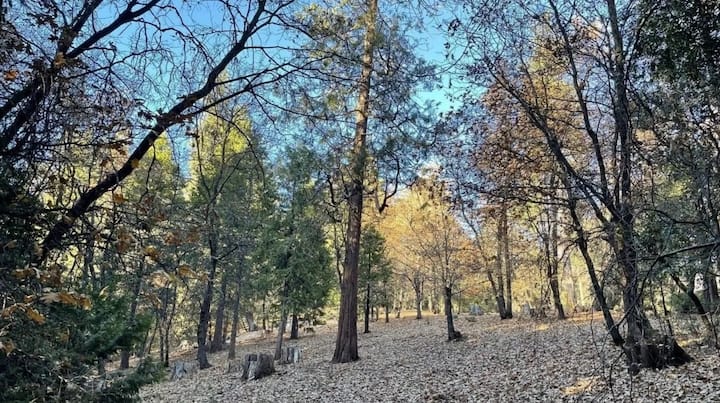 Campsite Near Yosemite-gold Rush Historical Site - Sonora, CA