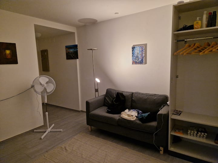Romantic Apartment With Free Parking In Zurich - Zürich