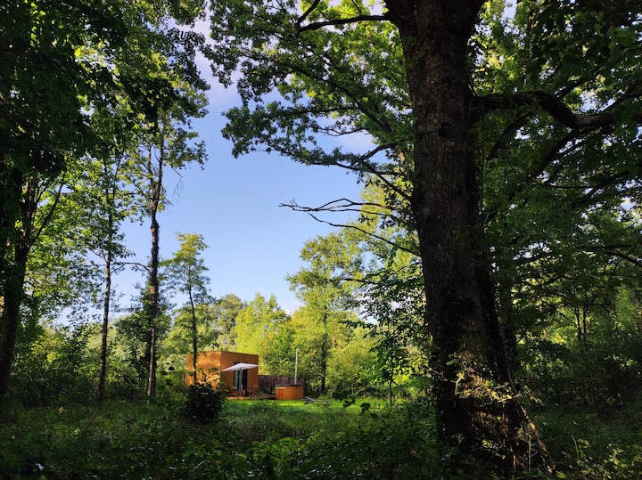 Immersion, Spa, Nature. - 中央