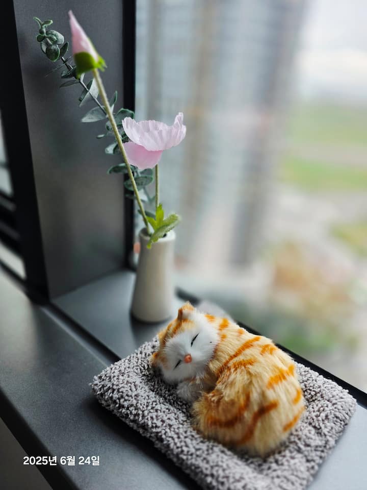 C1802스테이인가
석양지는바다뷰
힐링공간 - Incheon