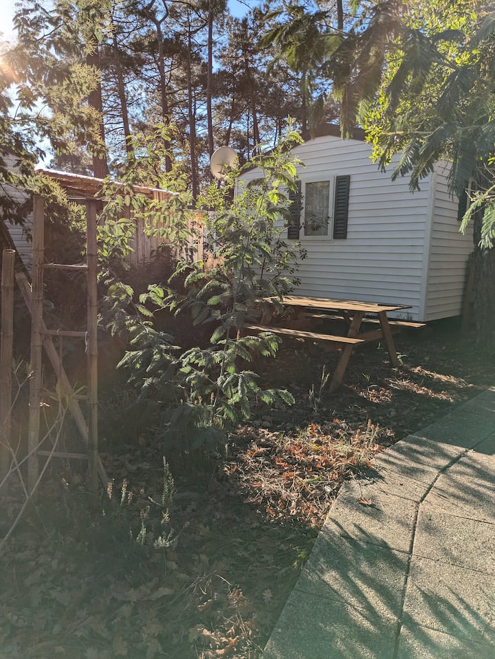 Logement 5/6 Personnes - Lacanau
