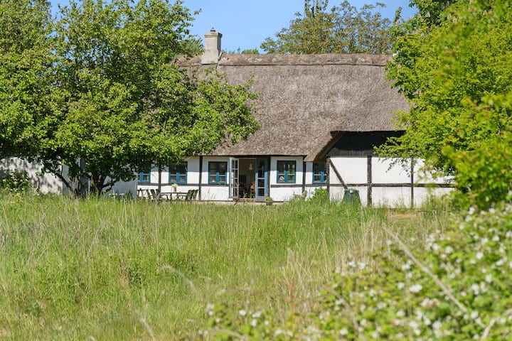 Séjour Golf Dans Maison Chaume à Langeland - Ostsee
