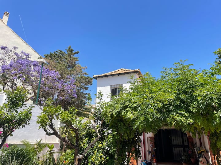 Casa Jojo - Málaga