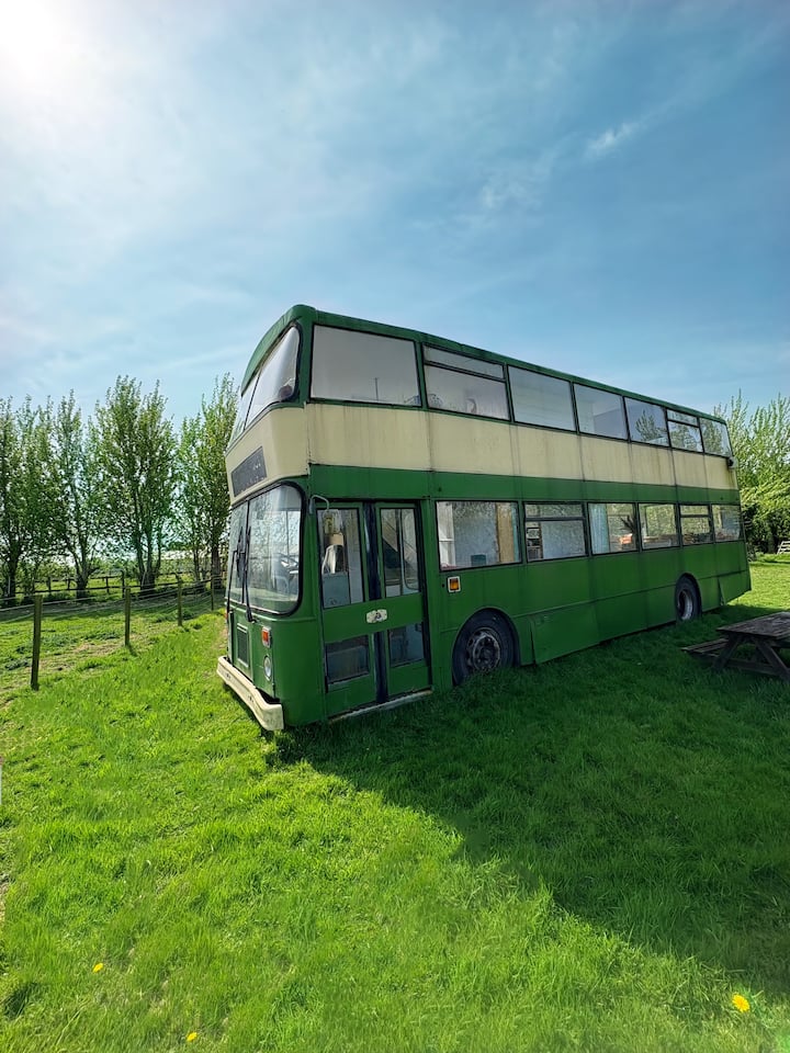 Bertha The Bus - Kent
