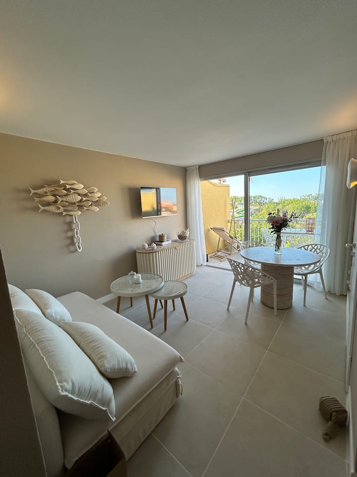 Vue Mer  Soleil Plage Piscine Wifi , Clim - Agde