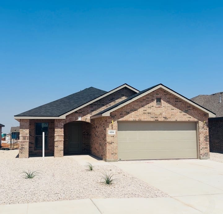 Desert Mockingbird - Midland, TX