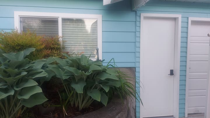 Little Blue - Abbotsford