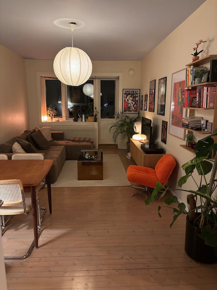 Leilighet I Toppetasje På Kampen - Oslo